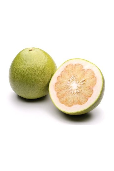 Pomelo- vendita - pianta - online - Alberidafrutto.com