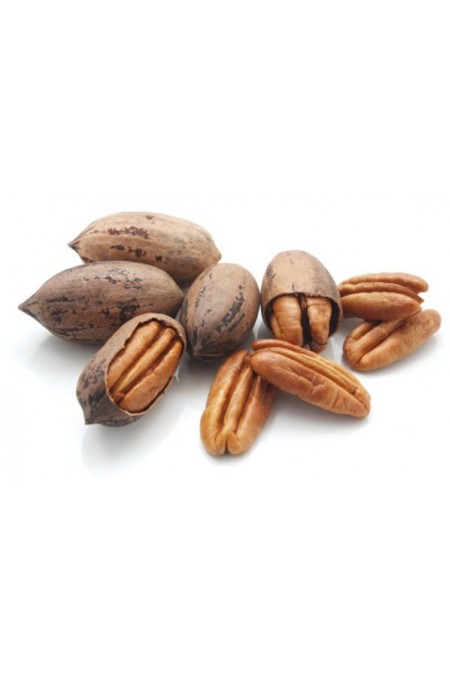 Noce Pecan ( D'Innesto ) - vendita - pianta - online - Alberidafrutto.com